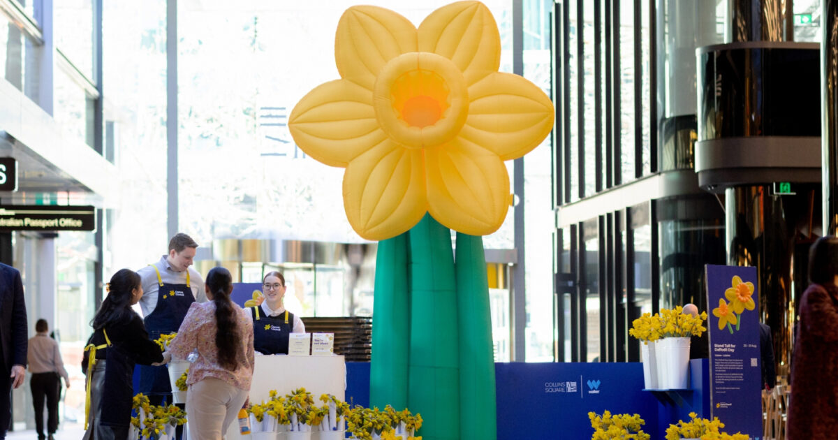 Melbourne’s tallest daffodil blooms at Collins… | Walker Corporation
